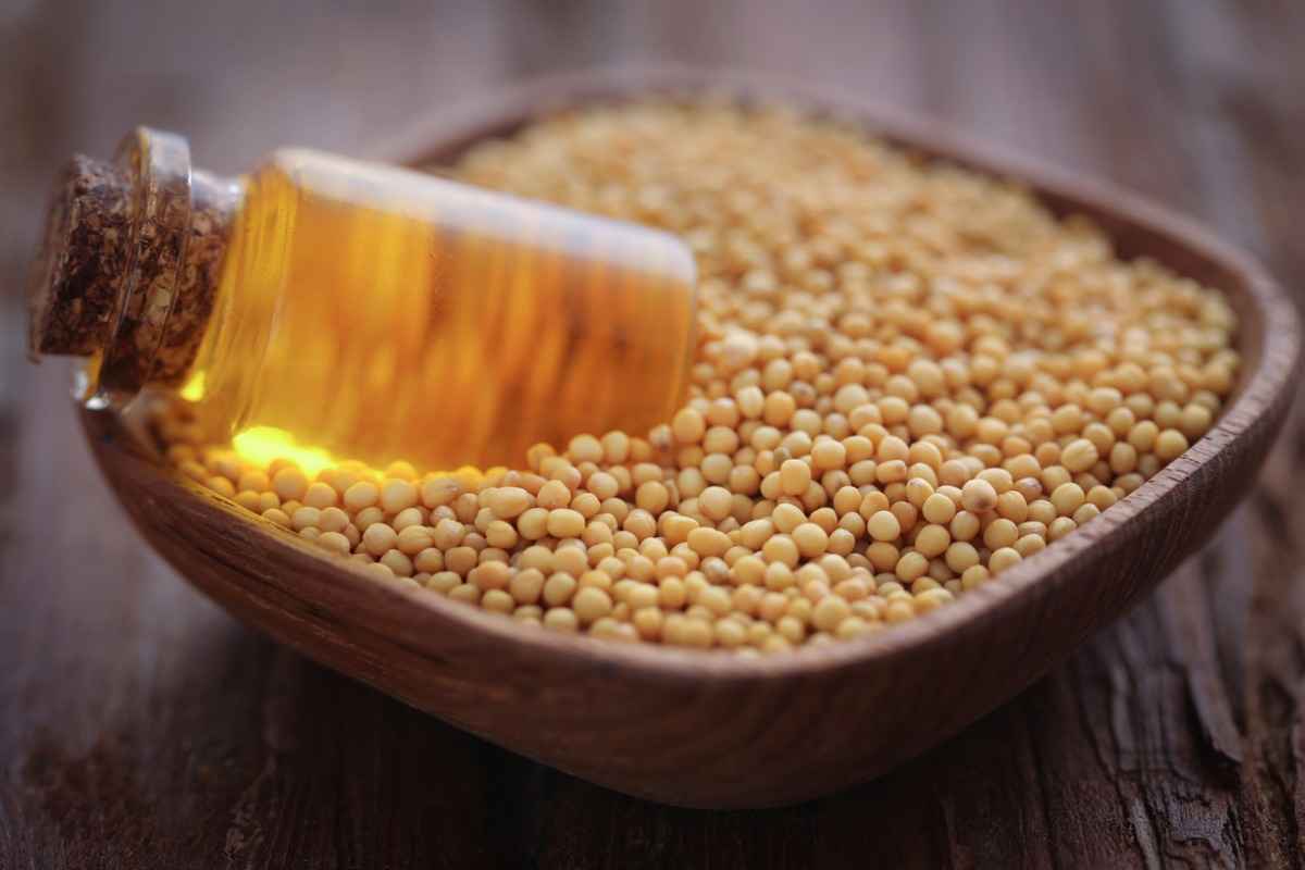 The 11 Best Mustard Oil Substitutes For Your Recipes