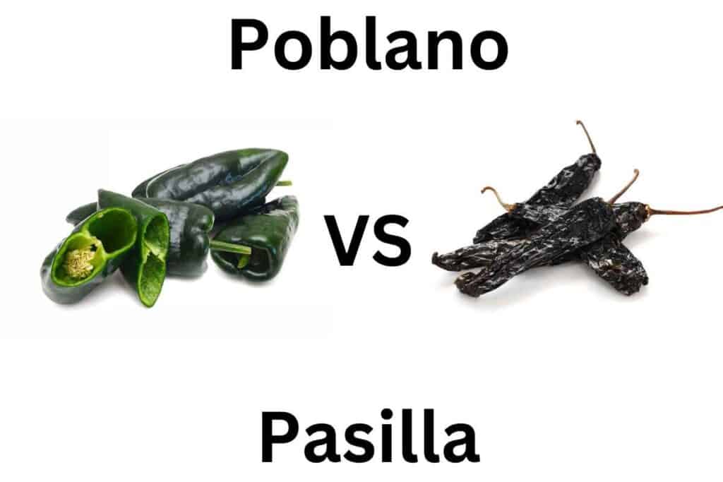 Poblano vs Pasilla: The 5 Differences You Need to Know