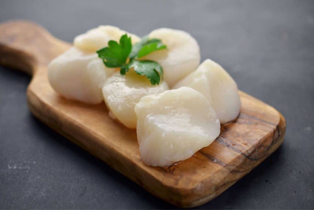 Undercooked Scallops: How To Cook Shellfish To Perfection