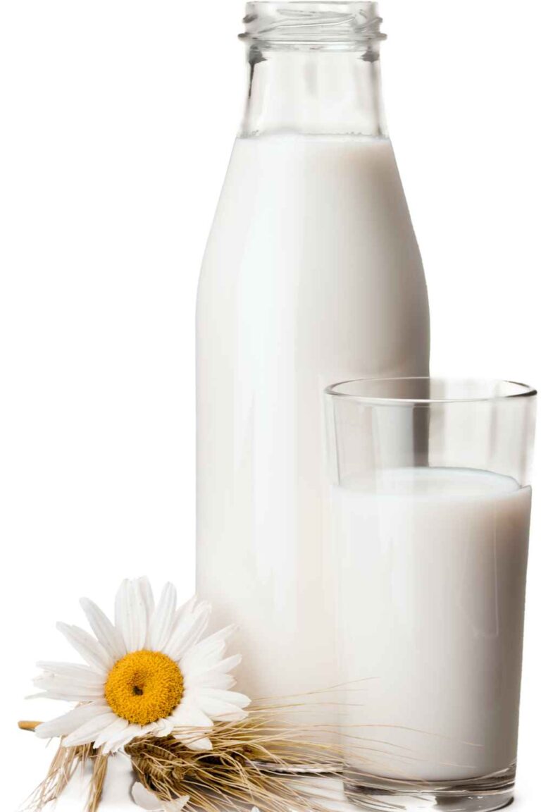 Kozy Shack Rice Pudding Recipe - Conscious Eating