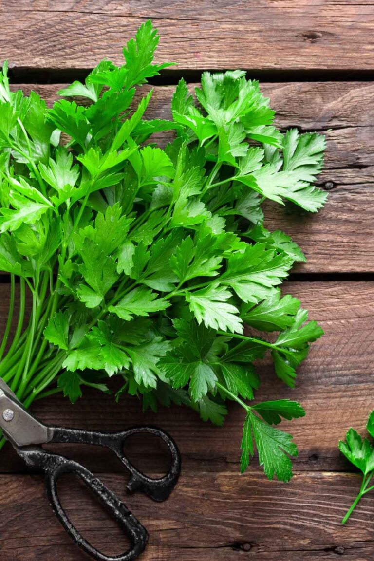 Qdoba Cilantro Lime Rice Recipe - Conscious Eating