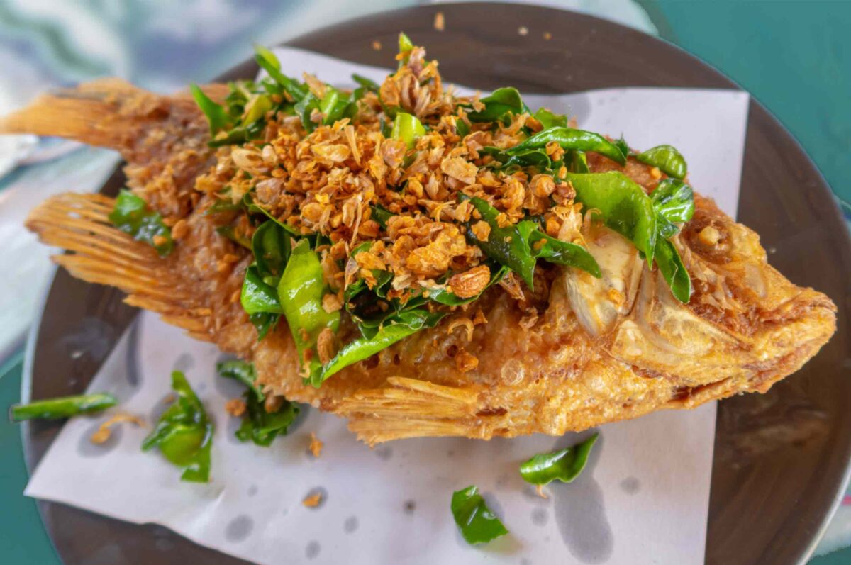 Fried Red Snapper Recipe
