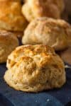 Texas Roadhouse Biscuit Recipe