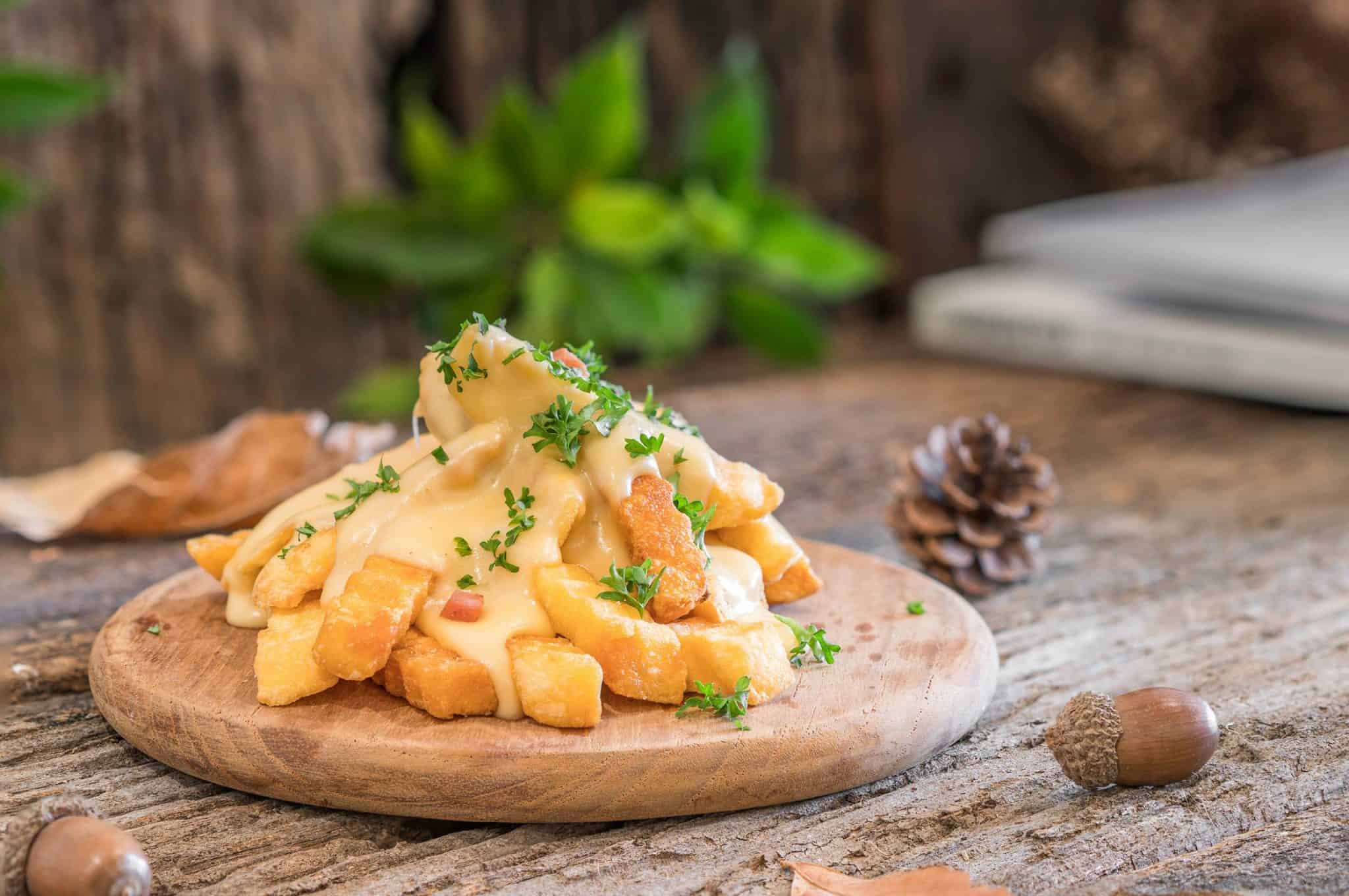 Chilis Texas Cheese Fries Recipe